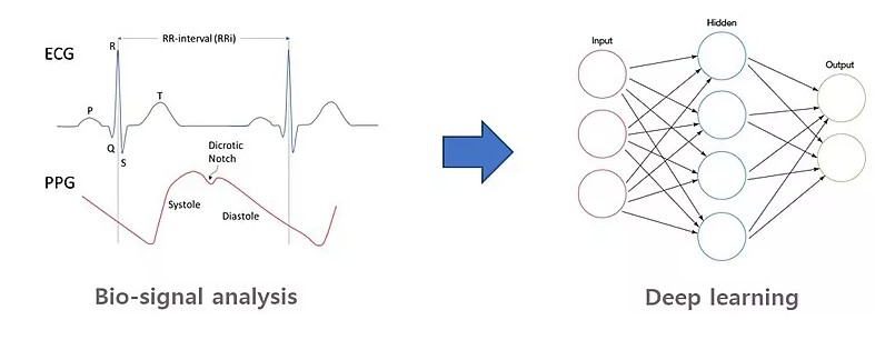 Bio-signal Analysis with Deep Learning | BCML Lab.